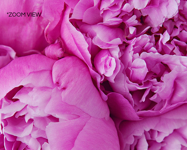 Play With Me – Annawithlove Shop